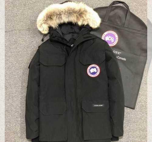 Canada goose expedition серая