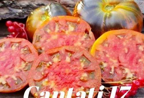 Семена коллекционых сортов томатов