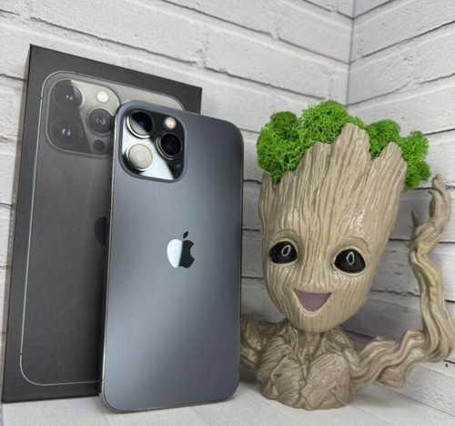 iPhone 13 Pro Max, 256 ГБ