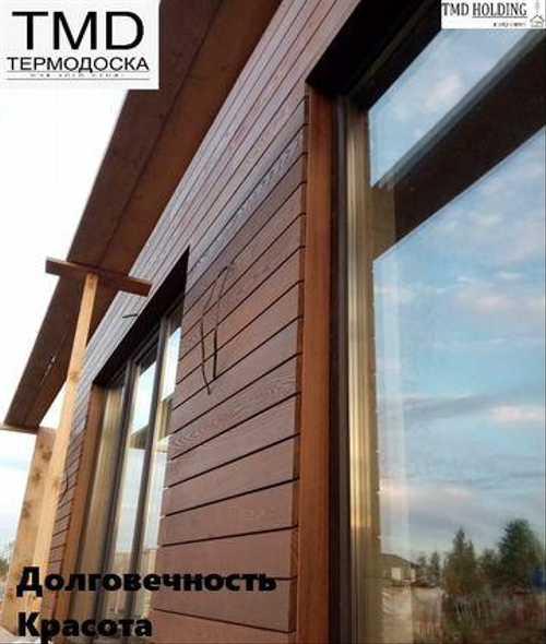 Планкен прямой термососна, термоясень, термобереза