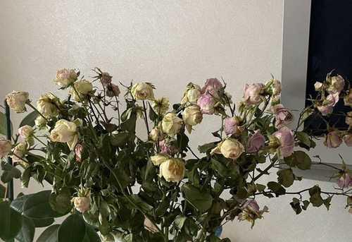 Сушеный букет кустовых роз