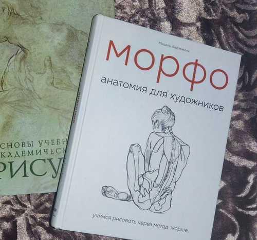 Морфо: анатомия для художников / Мишель Лауричелла