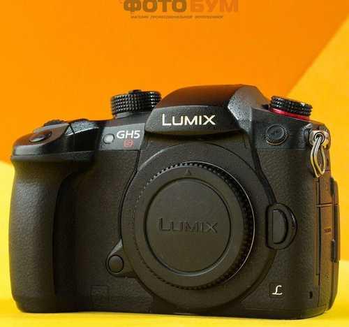 Фотоаппарат Panasonic Lumix GH5 S body