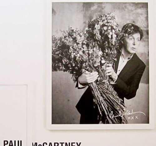 Paul McCartney пластинки идиальные