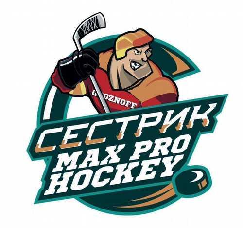 Набор в хоккейную команду MAX PRO-сестрик