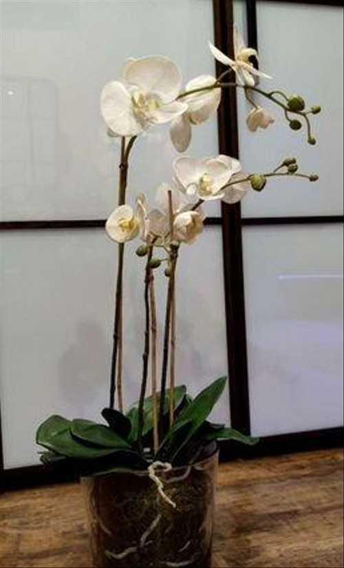 Орхидея фаленопсис ручная работа