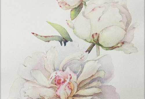 Картина "Пион с розовыми каплями"