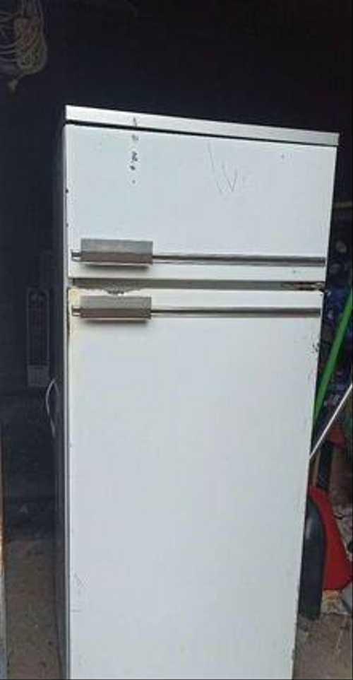 Холодильник Бирюса 21