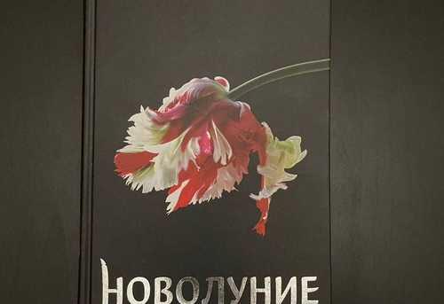 Сумерки "Новолуние"