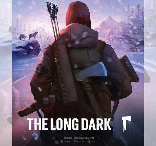 The Long Dark PS4 PS5