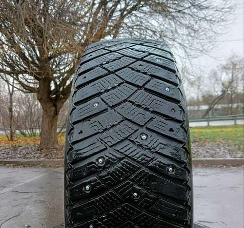 Goodyear Ultragrip Ice Arctic 195/65 R15 95T