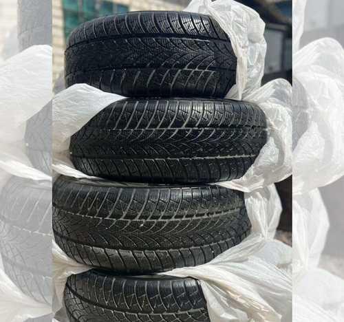 Triangle WinterX TW401 205/50 R17