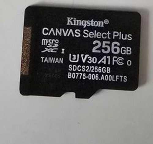 Карты памяти microsd 256