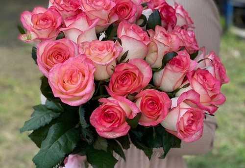 Цветы розы букеты