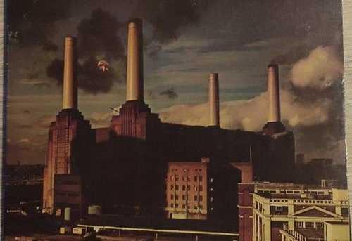 Pink Floyd – Animals (USA)