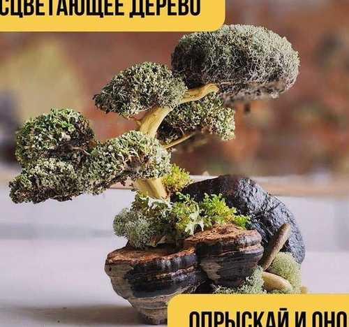 Большое дерево