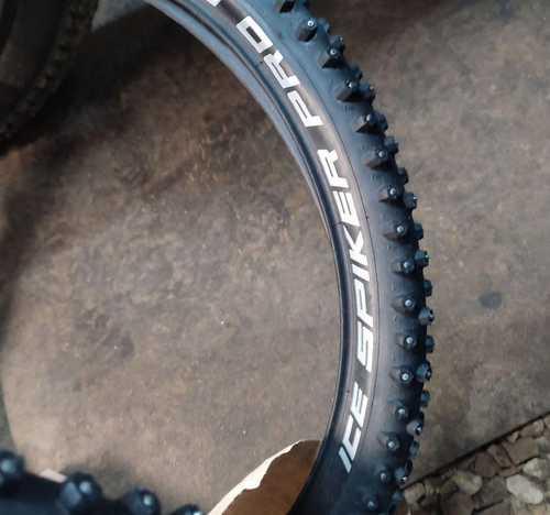 Покрышки schwalbe ice spiker pro