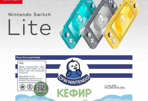 Nintеndо switch lite Запчасти ремонт установка чип