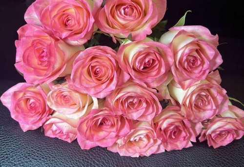 15 роз с доставкой, свежие голландские розы