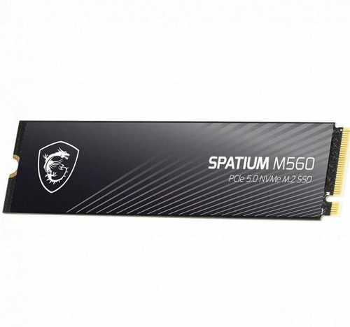 Внутренний жесткий диск MSI spatium M560 692436