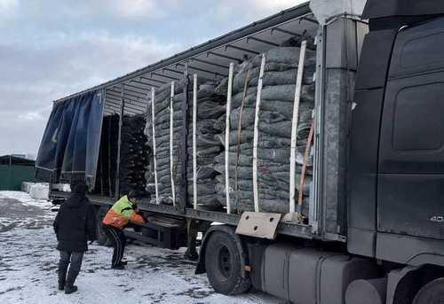 Лапник датской и сибирской пихты. опт