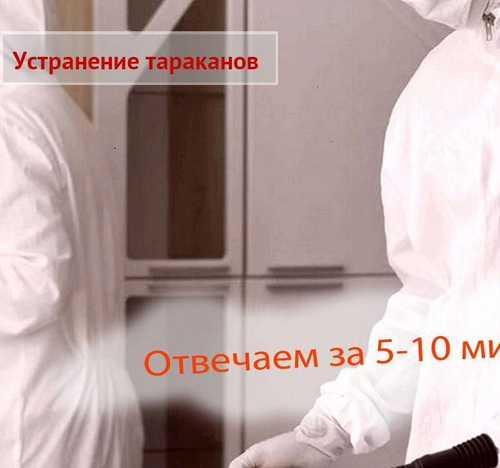 Средство от тараканов, клопов, крыс
