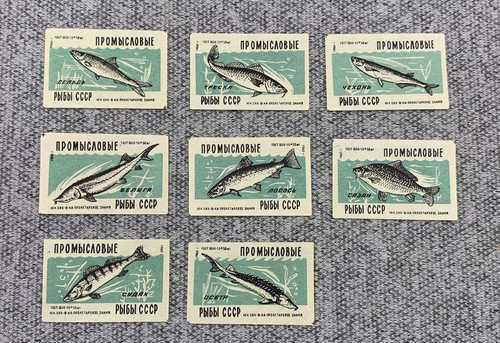 Набор из 8 коллекционных спичечных этикеток СССР