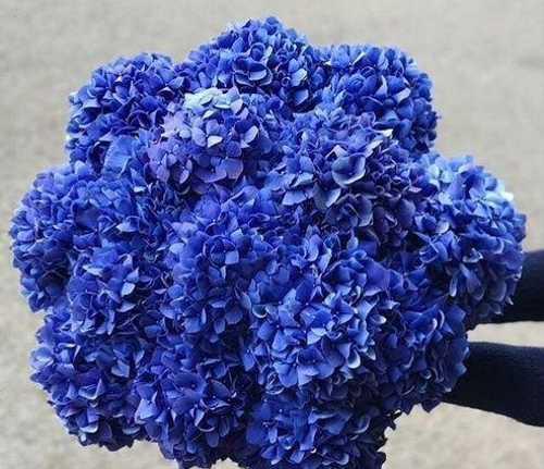 Букет из 15 синих гортензий, цветы доставка