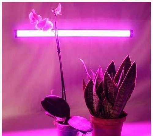 Фитолампа для растений светильник