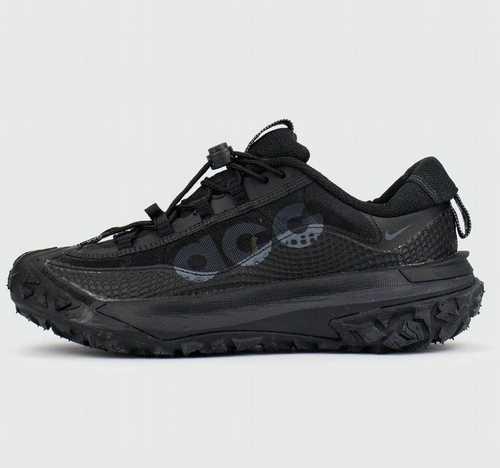 Кроссовки Nike ACG Mountain Fly 2 Low GTX SE Black