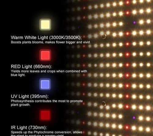 Quantum Board 320 Вт Samsung LM301H+660nm+UV IR