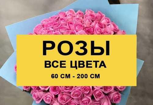 Букет из розы, роза с доставкой 25 51 501 1001 кур