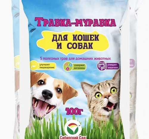 Трава для кошек и собак Травка-муравка (смесь семя