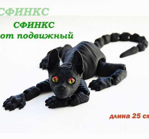 Подвижный кот сфинкс