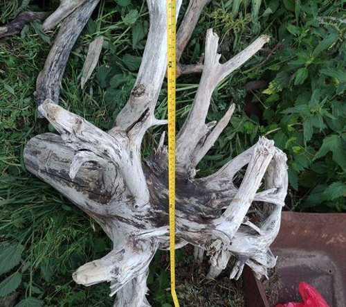 Коряга Дрифтфуд Driftwood Дрифтвуд