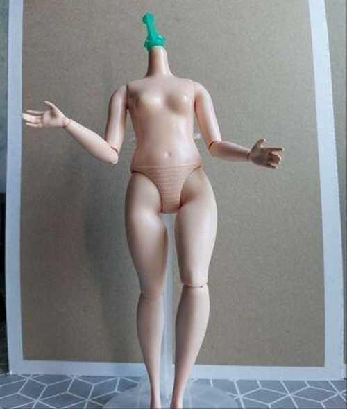Barbie тела/головы