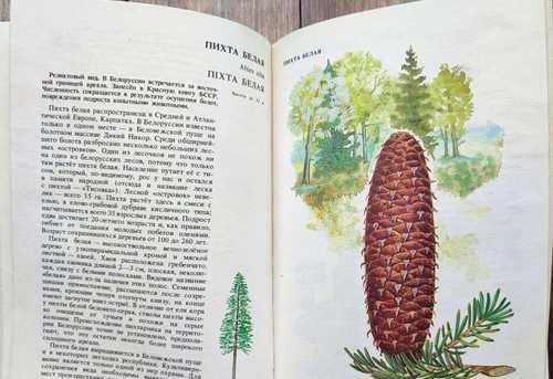 Ботаническая растения красной книги