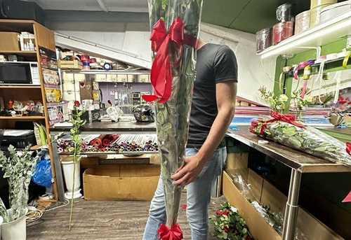 Высокие розы 200 см два метра