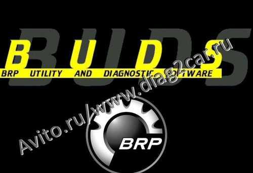 Лицензия BRP buds1 Один дилер 1 год