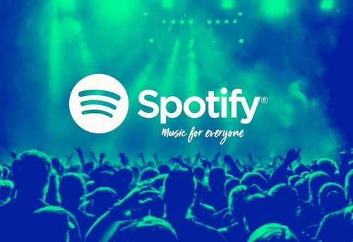 Spotify premium 3 6 12 мес