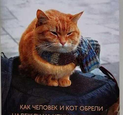 Книга Уличный кот по имени Боб