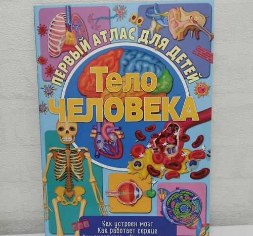 Книга Атлас для детей Тело человека