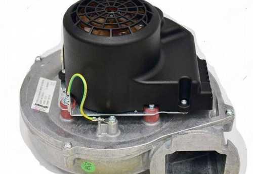 Вентилятор baxi для газового котла