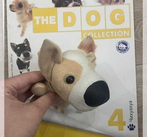 Чихуахуа The Dog Collection