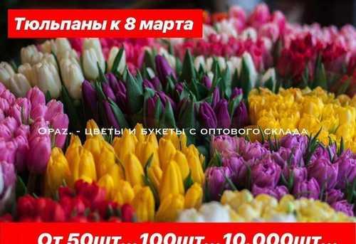 Тюльпаны к 8 марта оптом 50шт 500шт 10.000шт