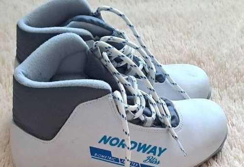 Лыжные ботинки nordway 37