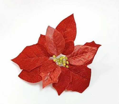Пуансеттия, рождественский цветок, украшение на Но