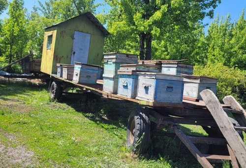 Прицеп для пчел, вместе с ульями