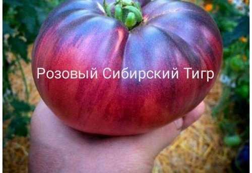 Семена томата Розовый Сибирский Тигр