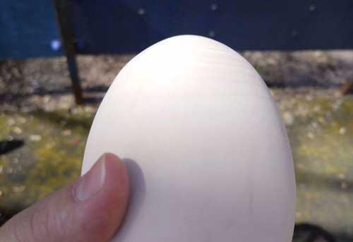 Яйцо деревянное заготовка 12см на 9 см